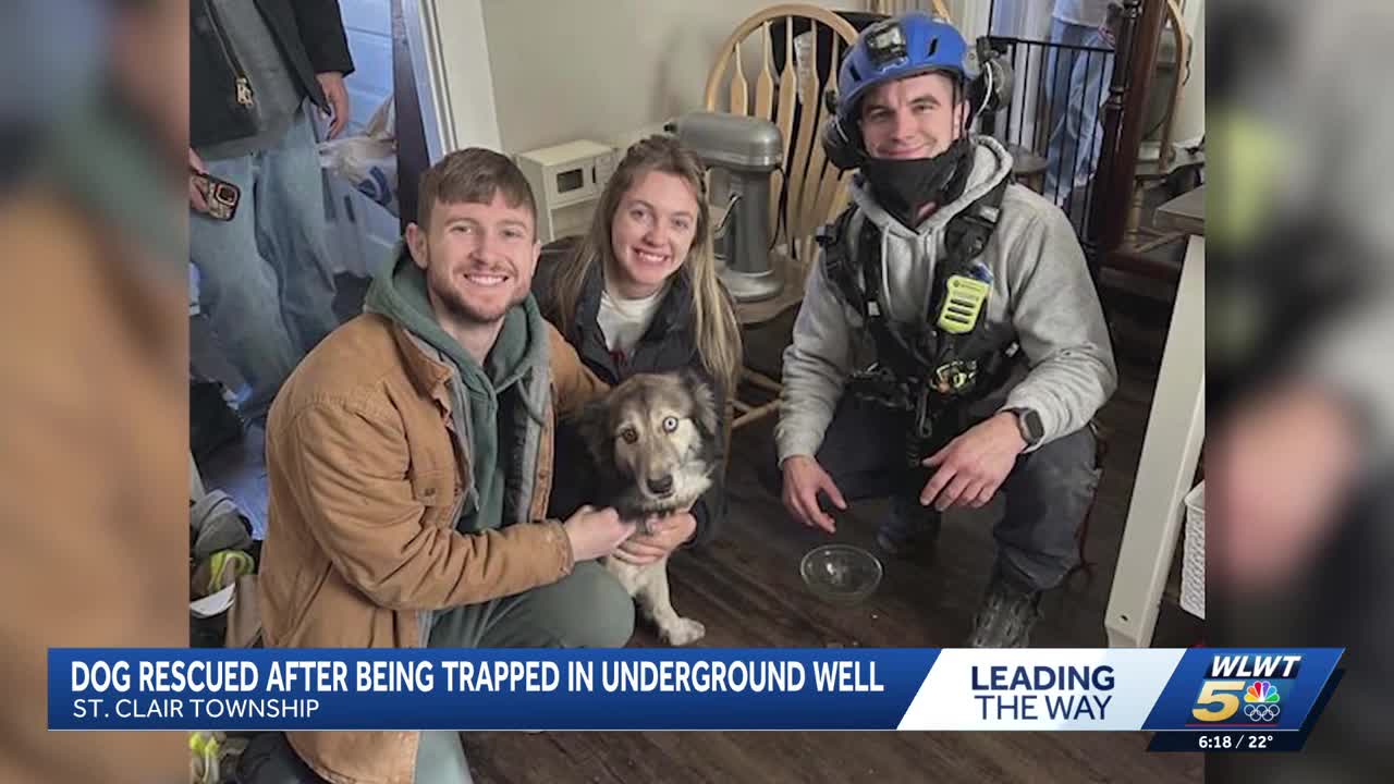 Butler County fire officials rescue dog who had been missing for 3 days ...