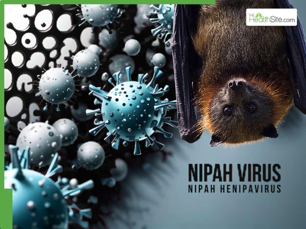 Nipah virus outbreak in India live updates: Japan to begin first human ...