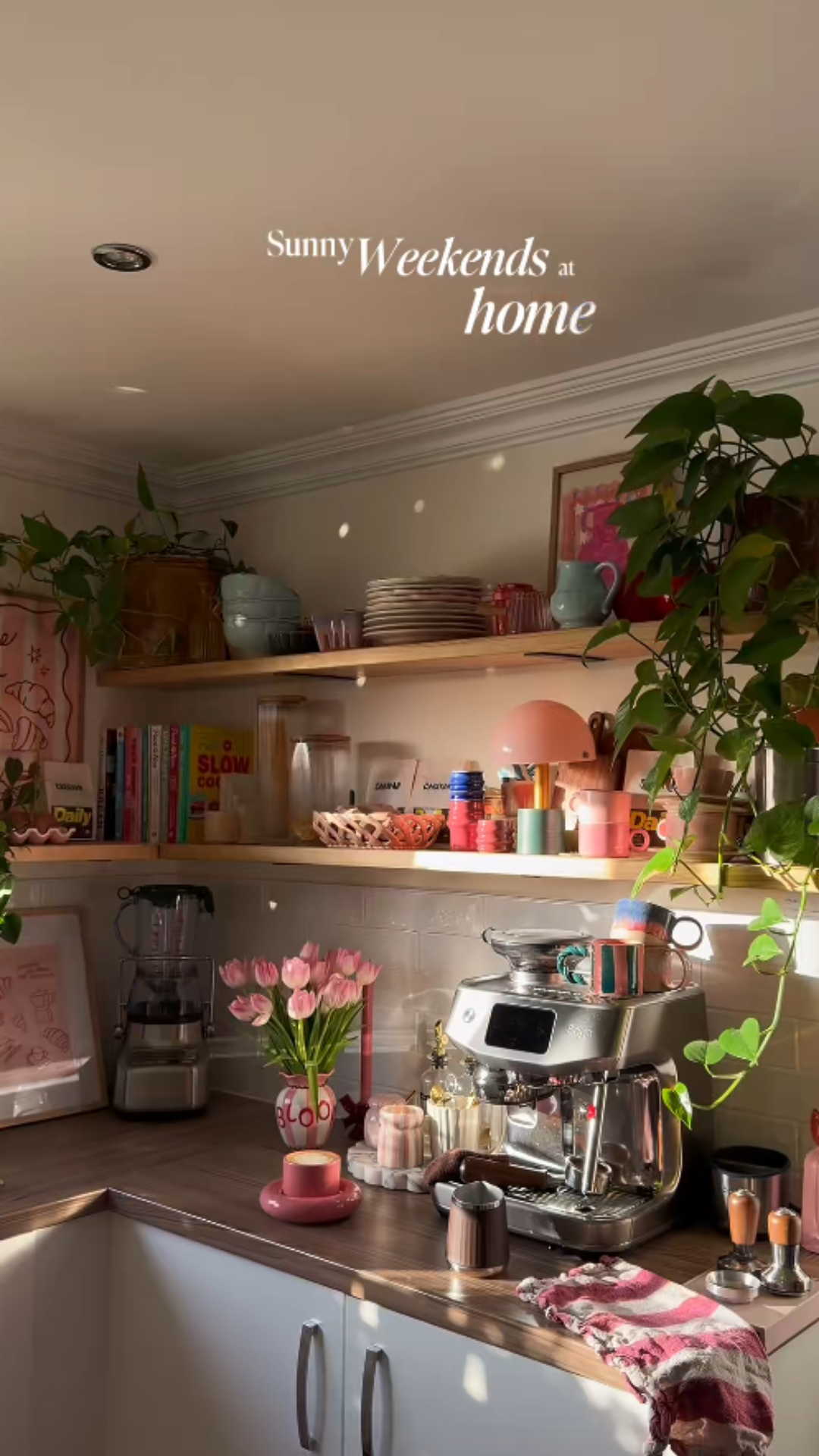 Why do sunny weekends at home feel better than any plans