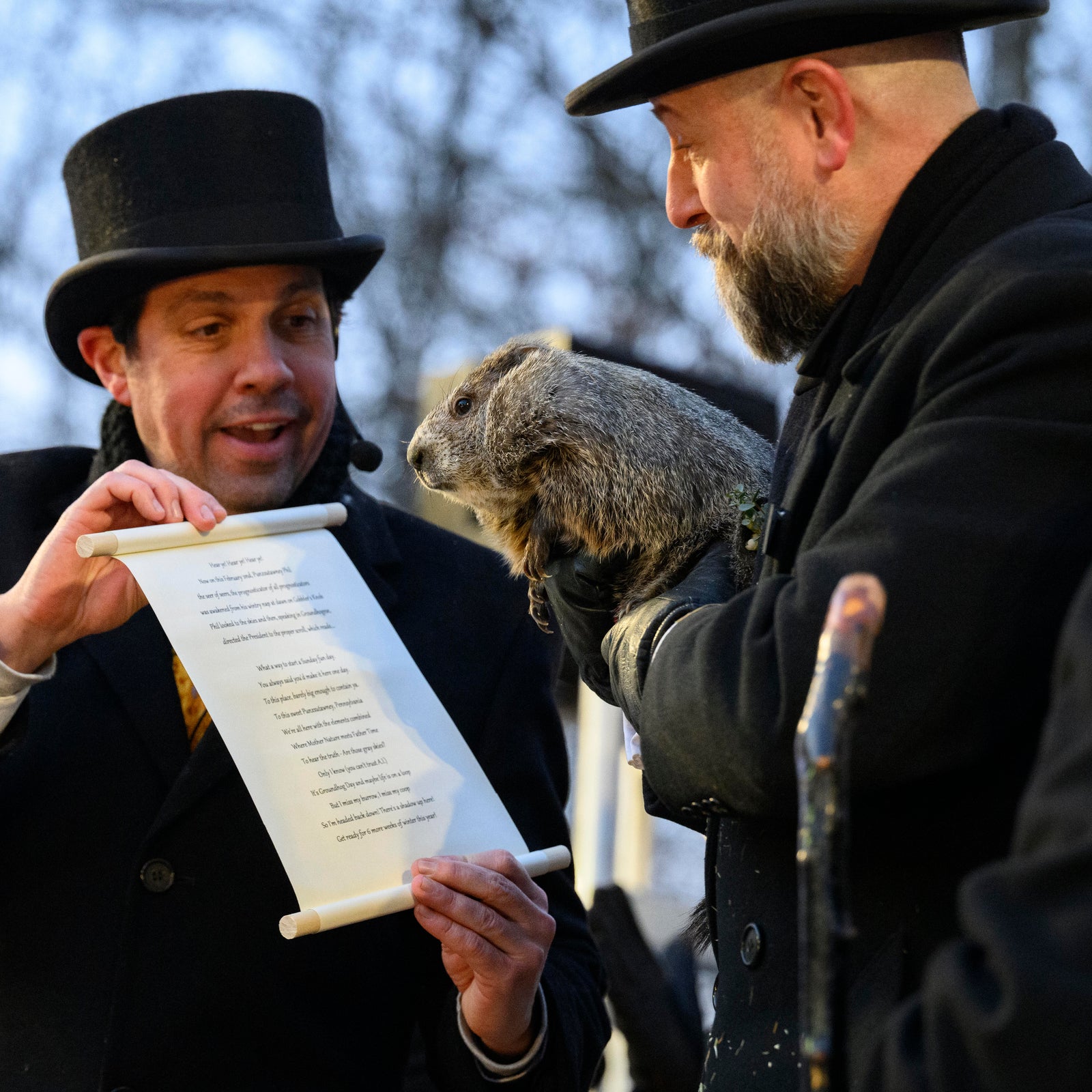 Punxsutawney Phil sees his shadow on Groundhog Day 2026
