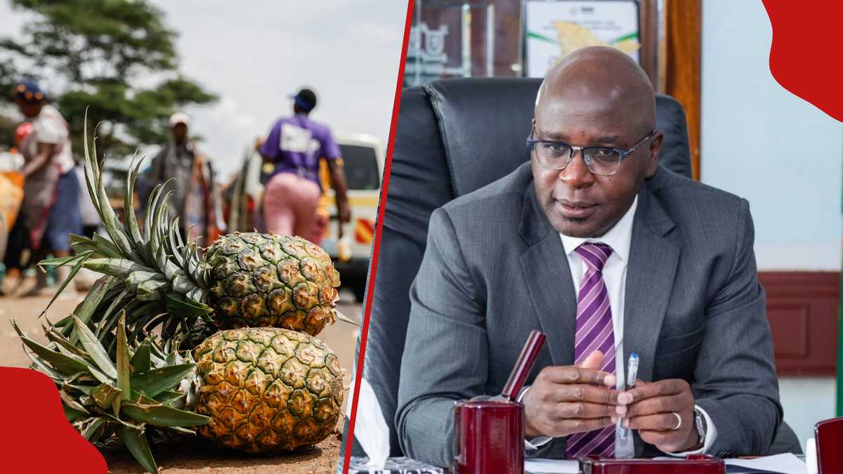 KRA wins KSh 1.76 billion tax demand as tribunal rejects Del Monte ...
