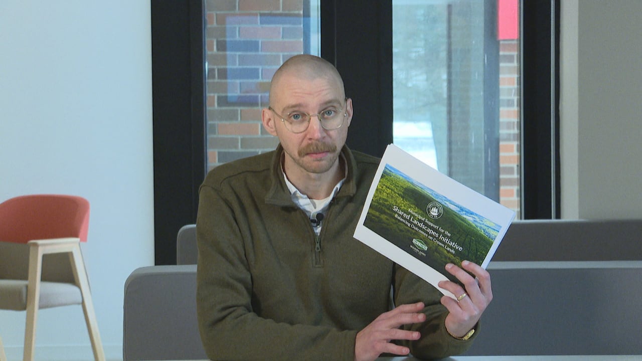 JD Irving conservation pitch includes logging old forest