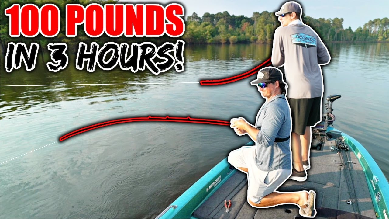 Record day fishing the best lake in the country