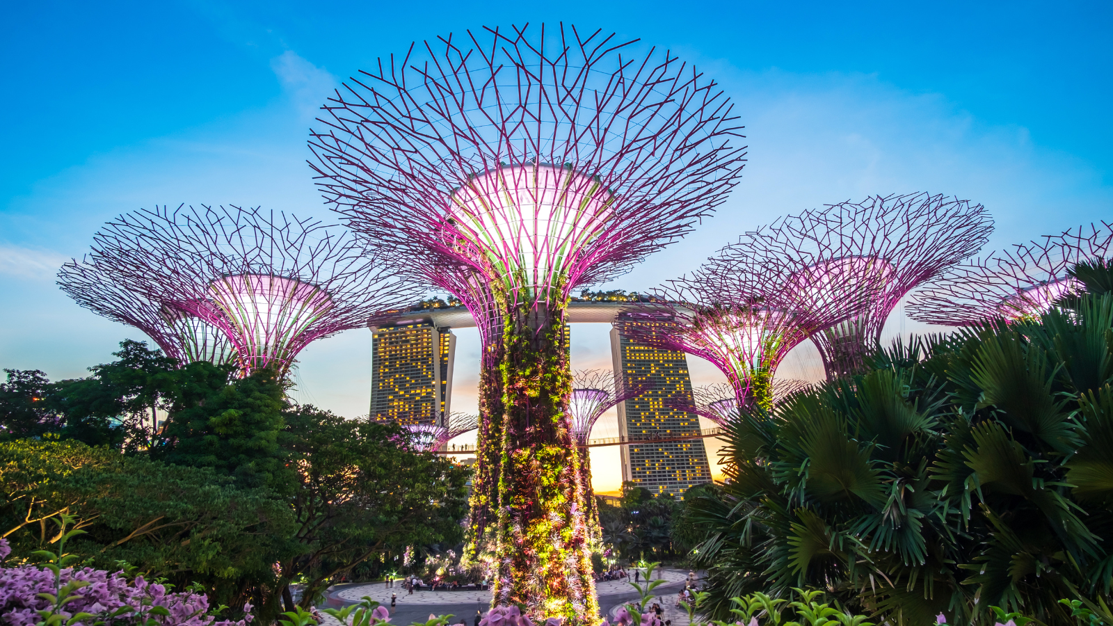 Which place in Asia is both a city and a country? Know the answer