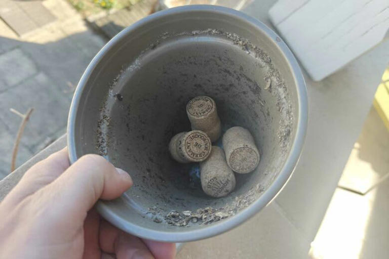 Ne les jetez plus ! Voici comment recycler vos bouchons de liège au ...