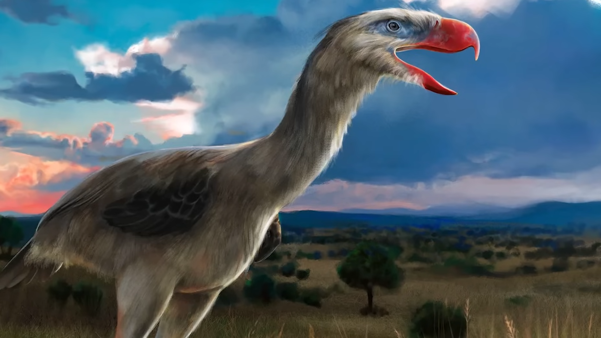 After dinosaurs died - what took over Earth is still being uncovered