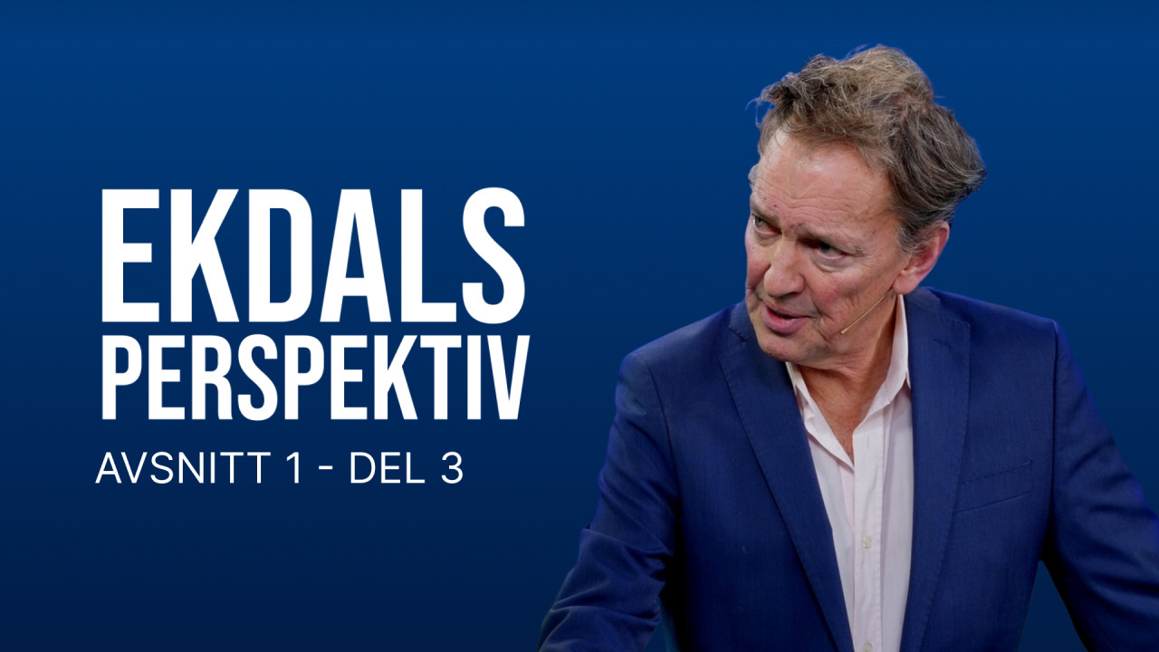 Mikael Damberg: Det här är skevt i skattesystemet