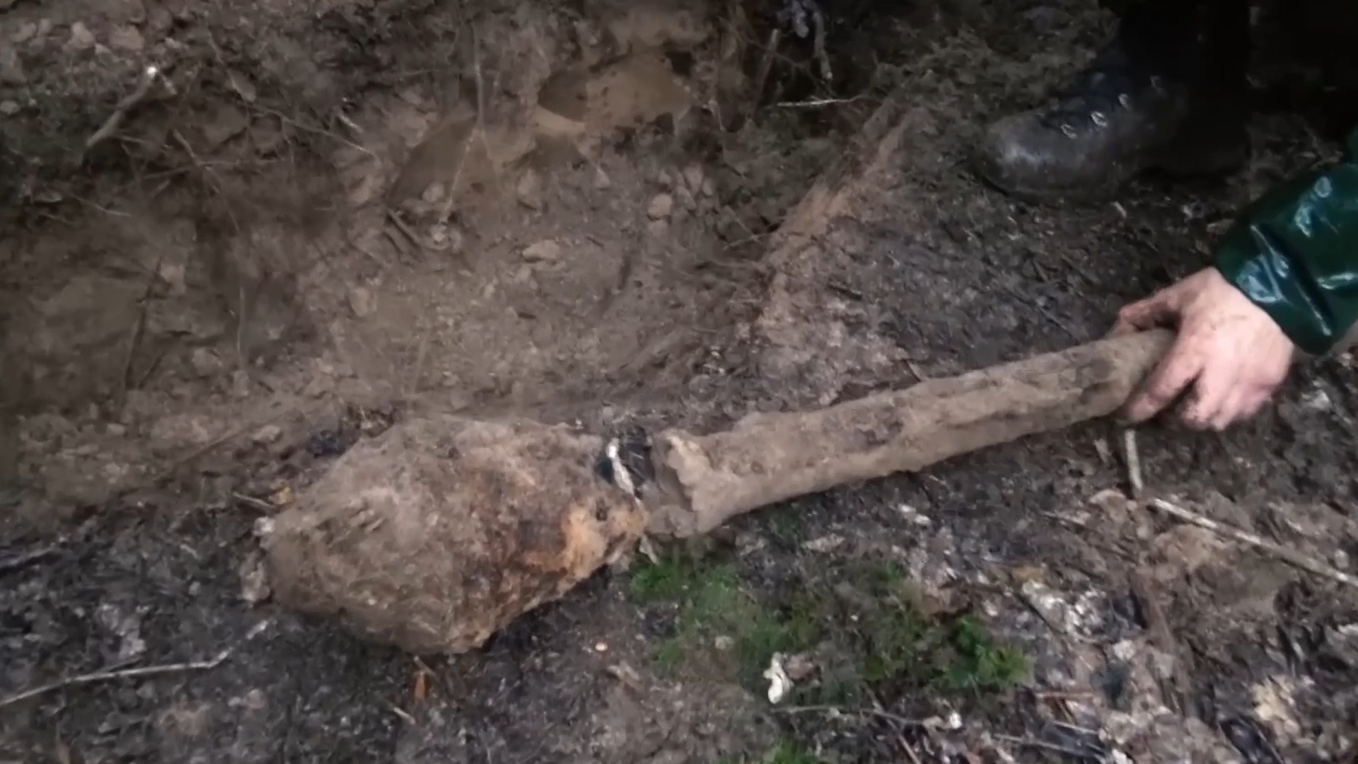 German woodland yields paratrooper gear and deadly weapon remains