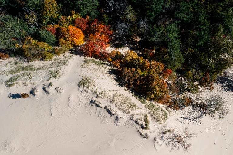 Muskegon luge is a community track built for Olympic dreams, and 4 ...