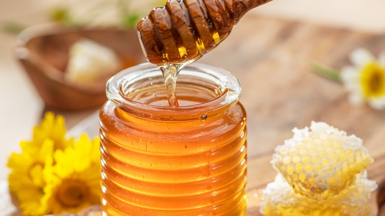 16 types of honey and where they come from