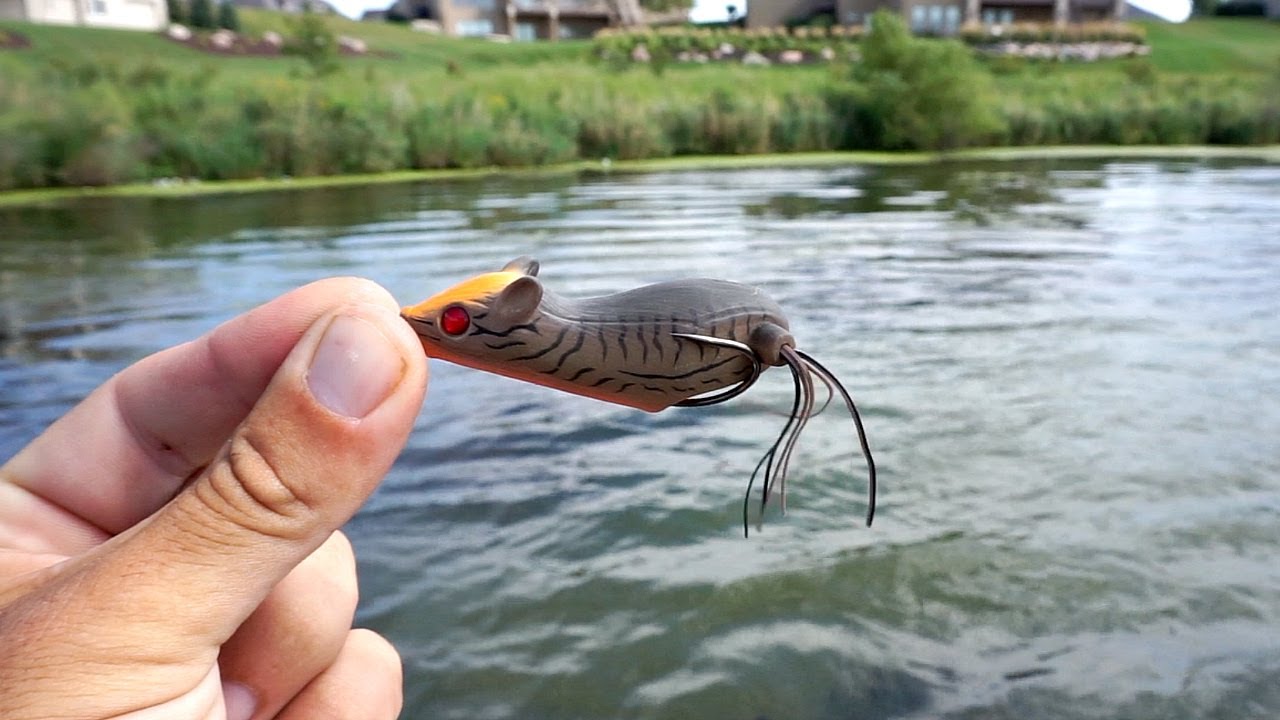 Mystery Tackle Box reveals sick fishing gear in July