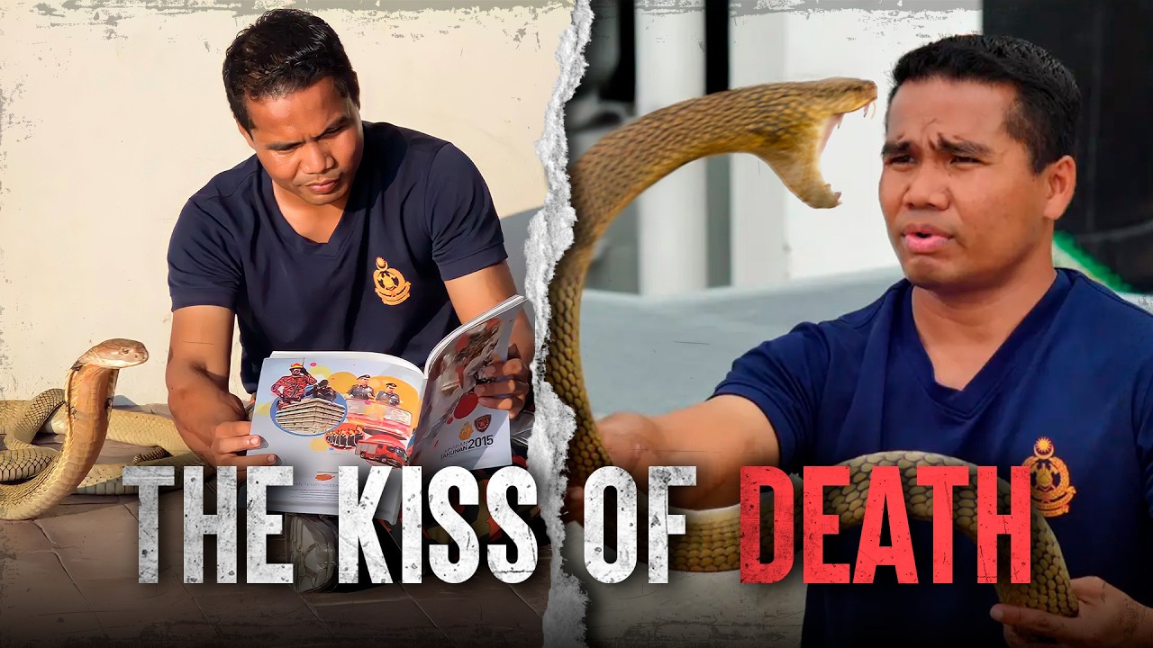 The deadliest snake attacks ever recorded and lessons learned