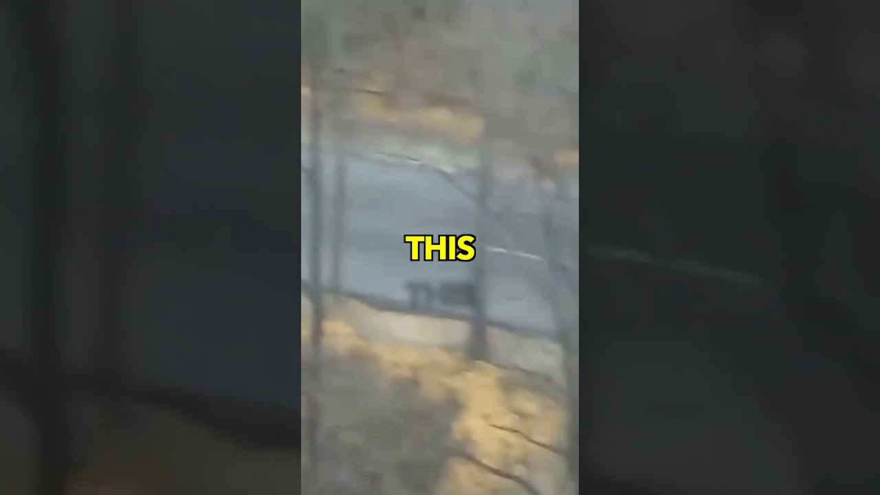 How one person reportedly escaped from North Korea
