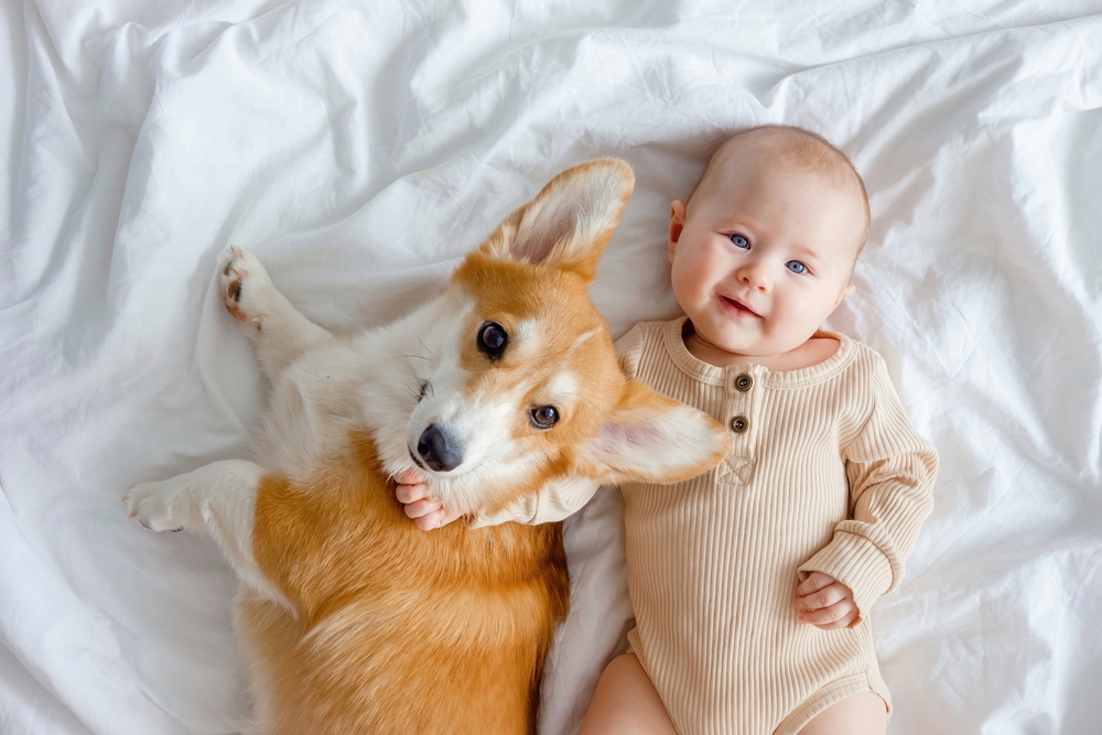 15 best dogs for babies