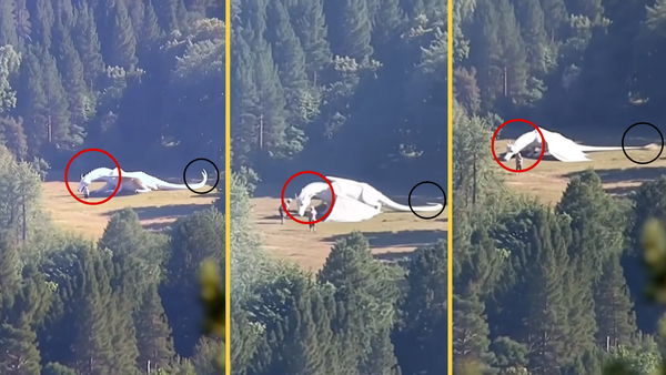 Video of white dragon in China is AI-generated fantasy