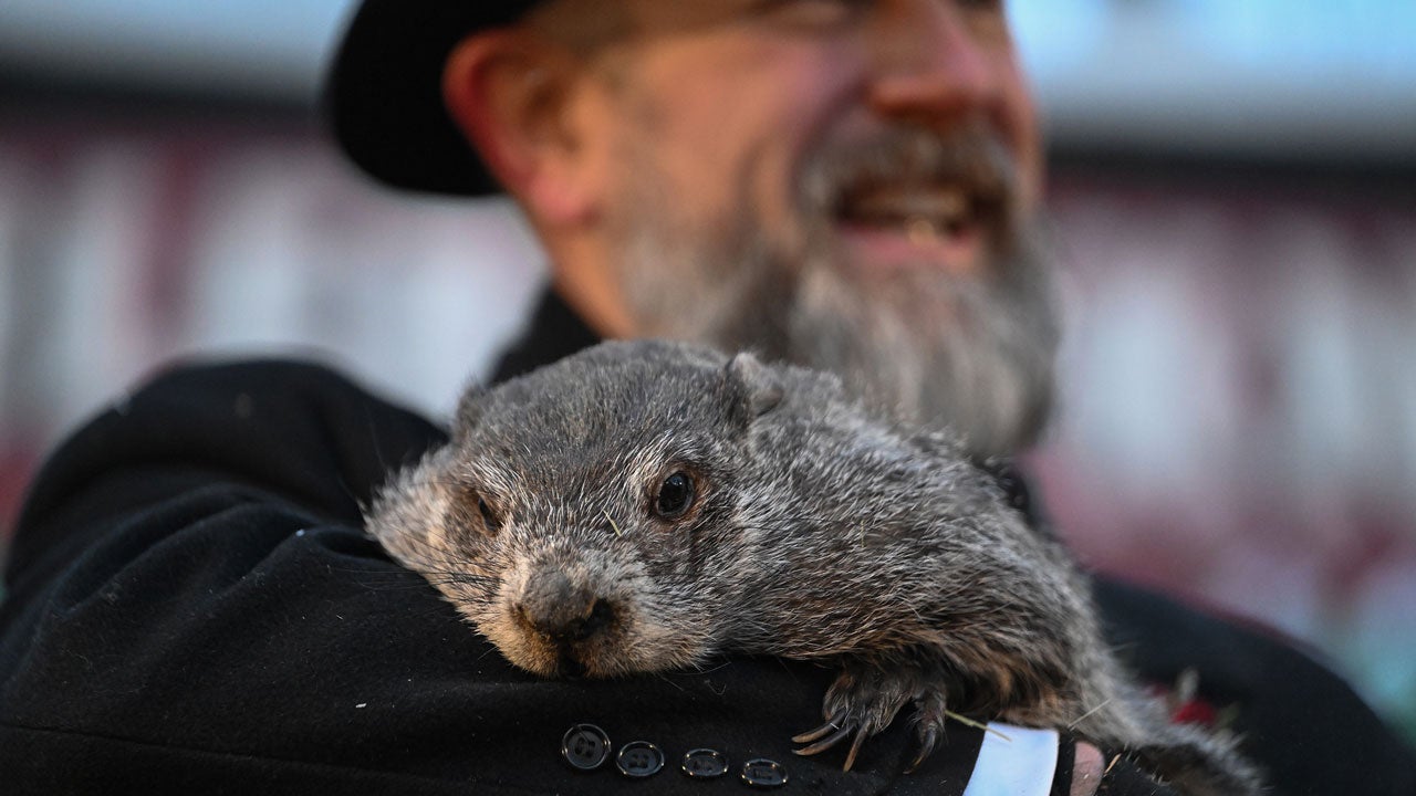 Groundhog Day: Did Punxsutawney Phil see his shadow?