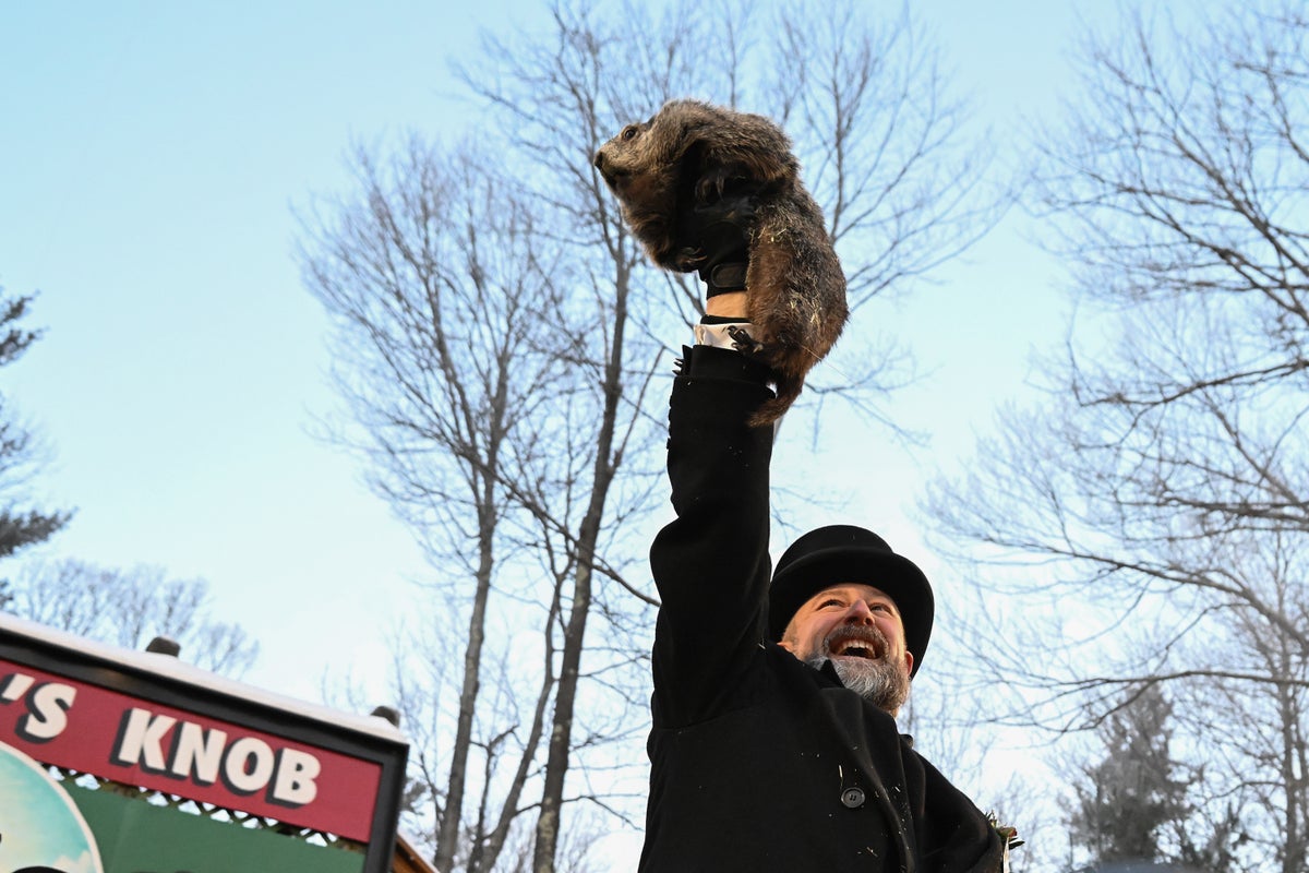 Punxsutawney Phil sees his shadow forecasting 6 more weeks of winter