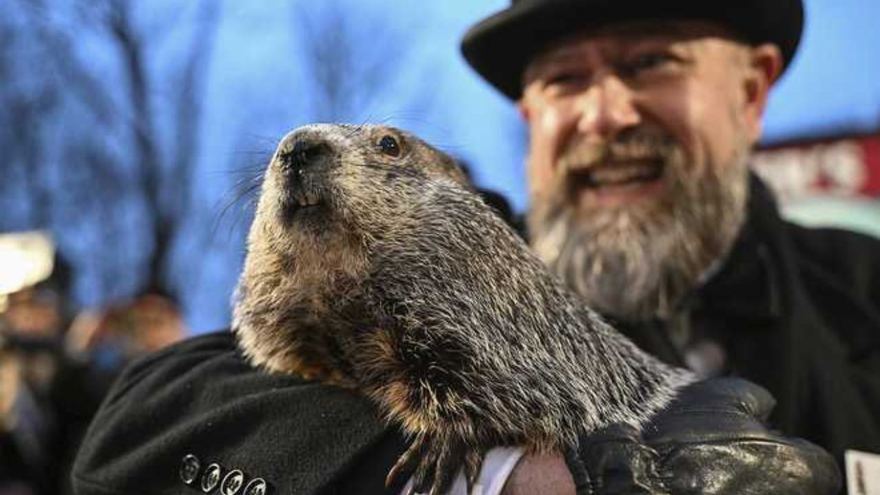 Groundhog Day 2026: Did Punxsutawney Phil see his shadow today? Check ...