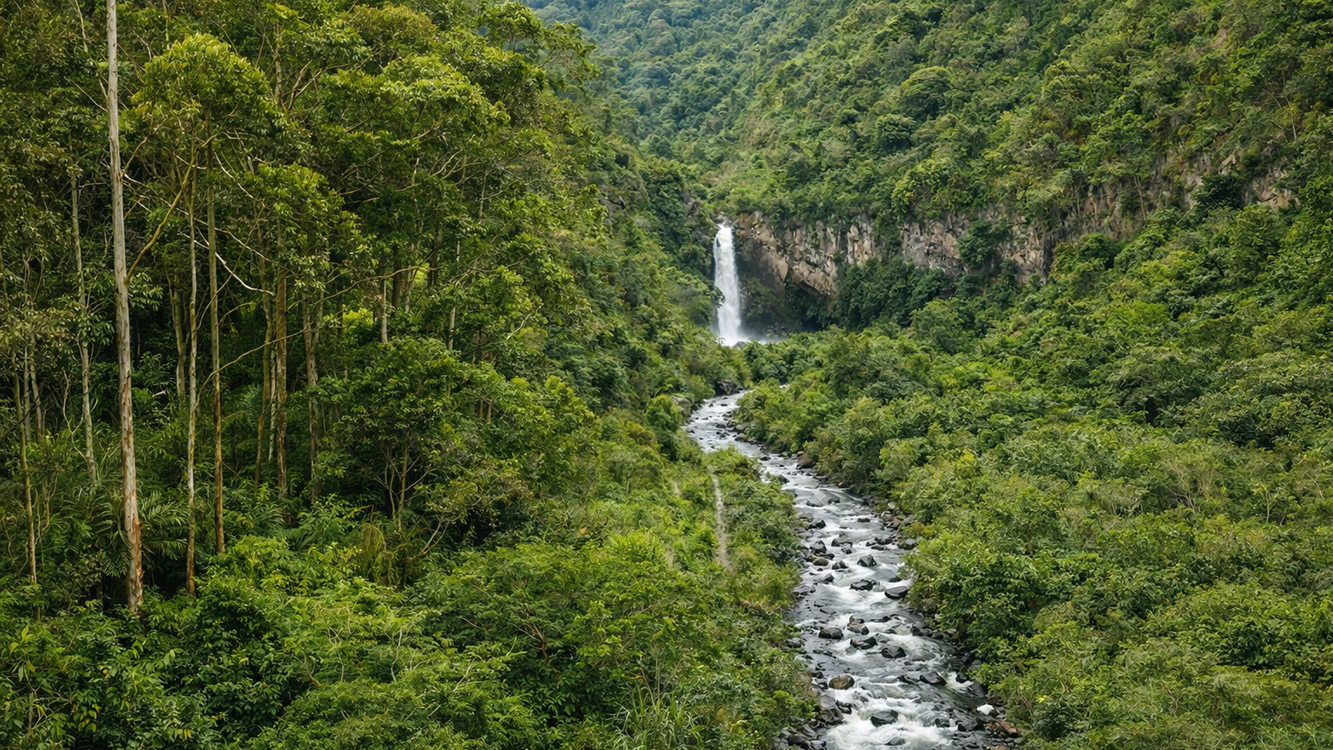 Una cascada tranquila escondida en las tierras altas esmeralda de Ecuador