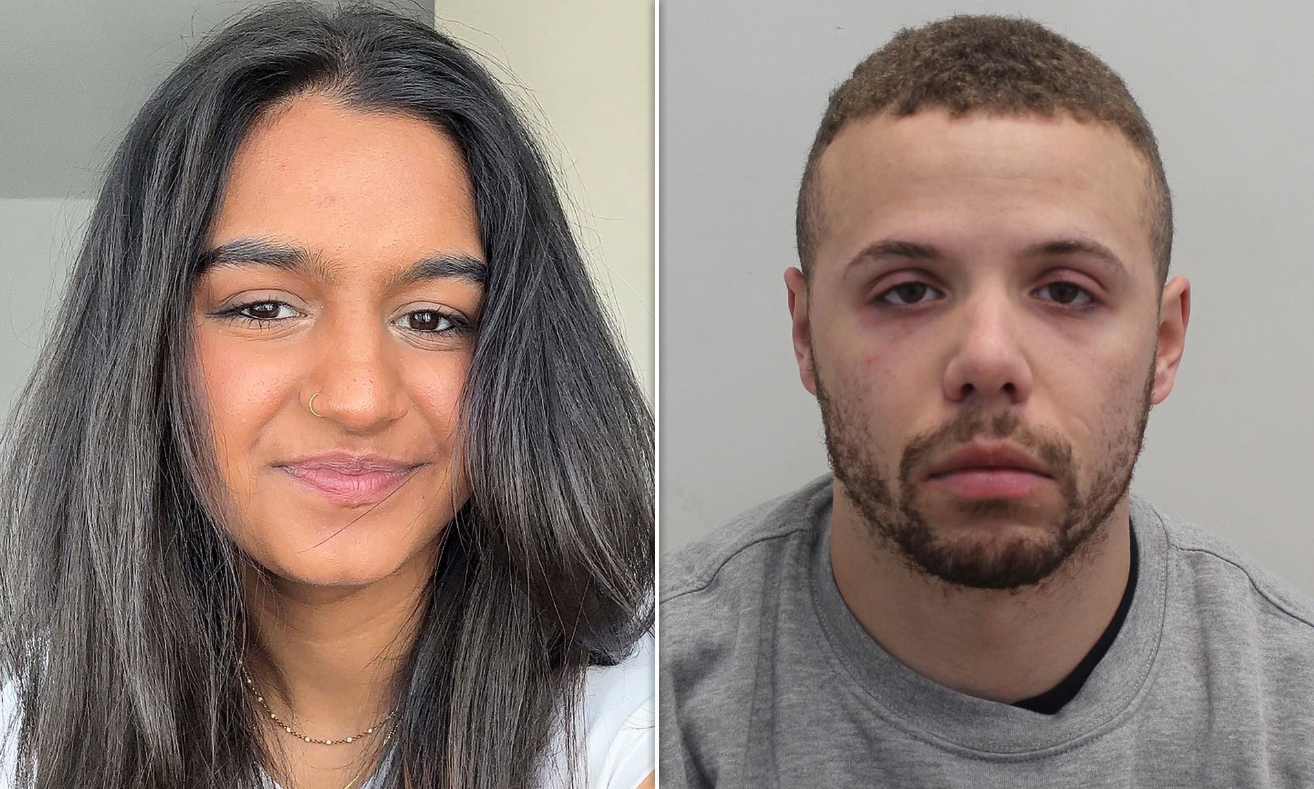 Van driver admits killing student after crashing into her outside King ...