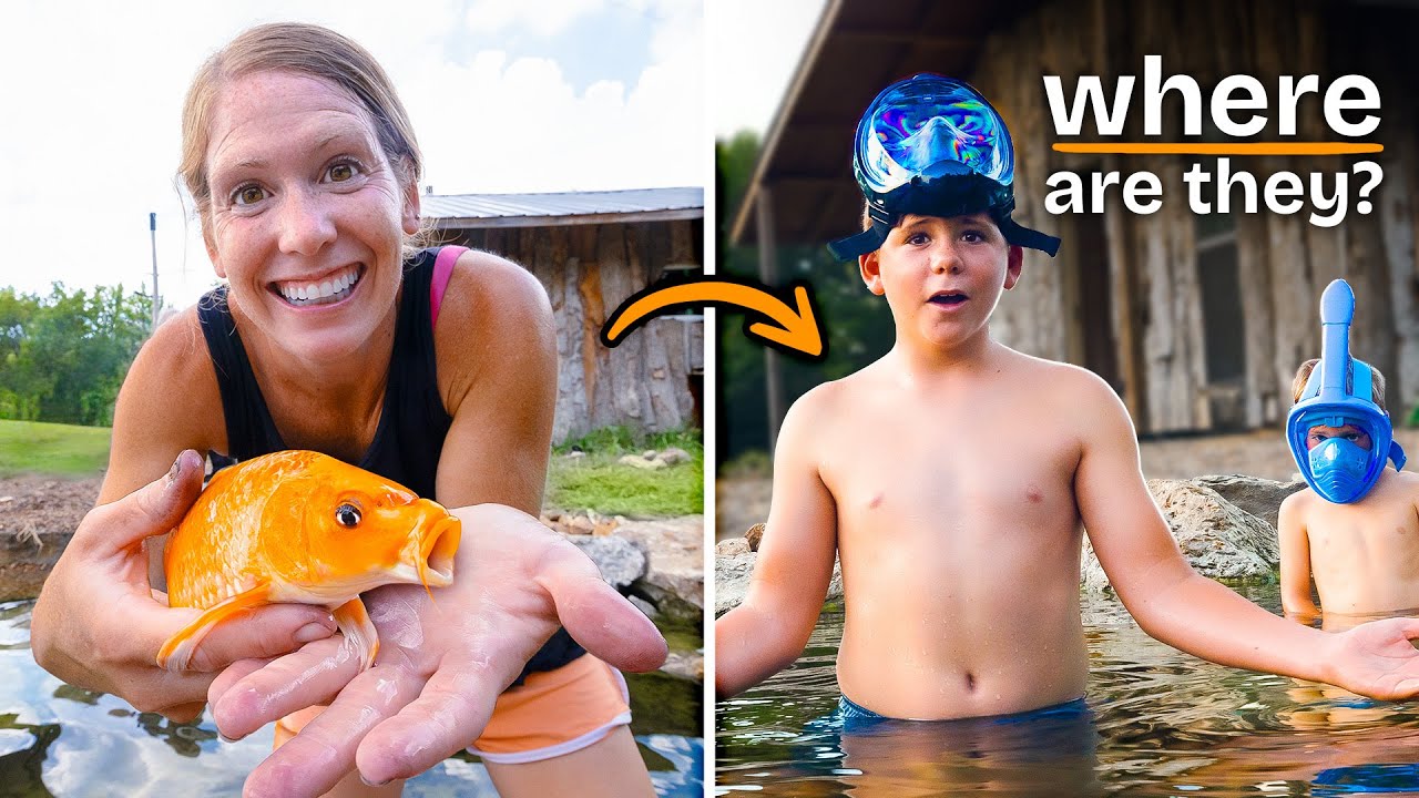 We added fish to our aviary pond, then they disappeared