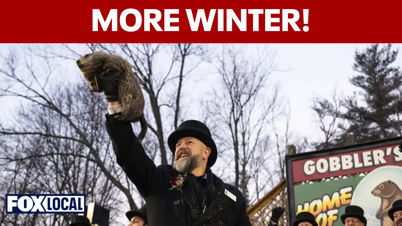 Groundhog Day: Punxsutawney Phil's prediction