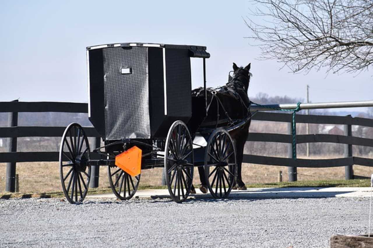 Horse spooked, buggy slides into minivan in Providence Twp.