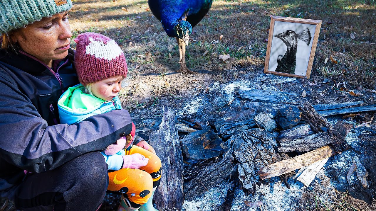 Our first exotic bird died... what happens next for the aviary?