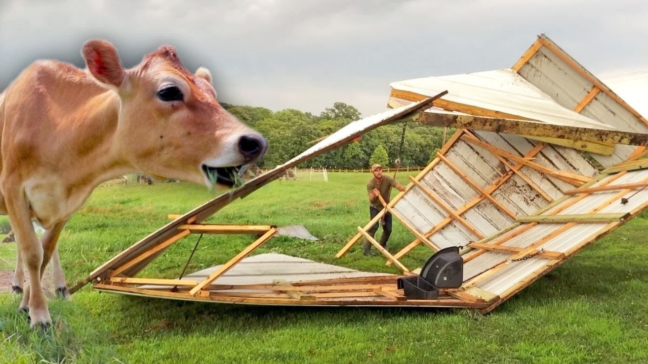 A storm hit Maisy’s house. But it’s a good thing...