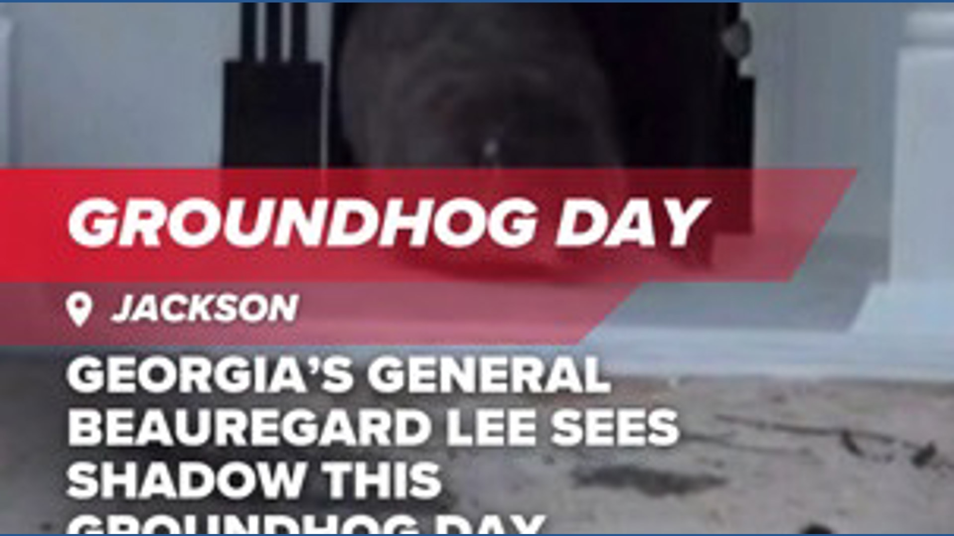 Watch: Georgia’s General Beauregard Lee sees shadow this Groundhog Day