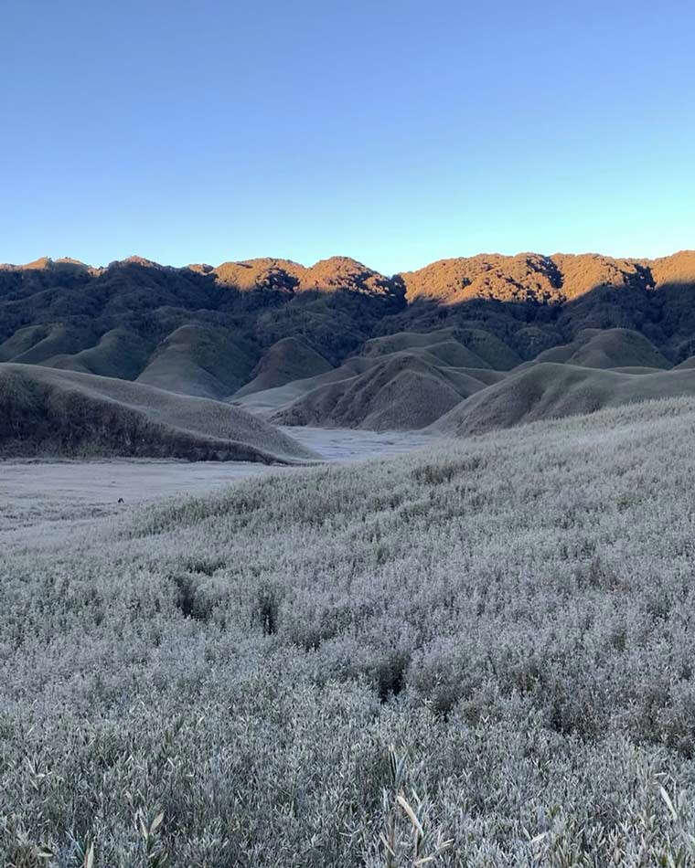 Dzukou Valley, Nagaland: Why this valley of flowers is better in winter