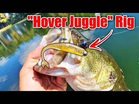 An American application of a new Japanese finesse rig — I made it better