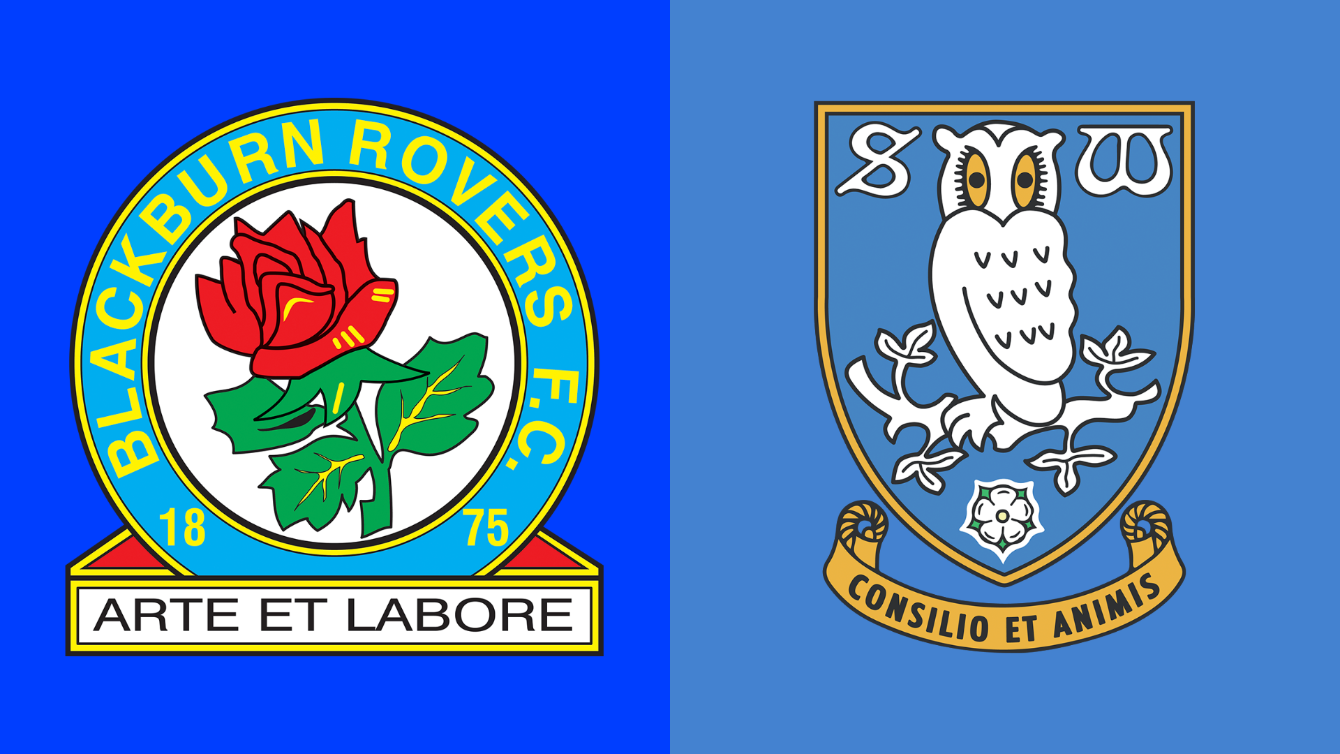 Pick of the stats: Blackburn Rovers v Sheffield Wednesday