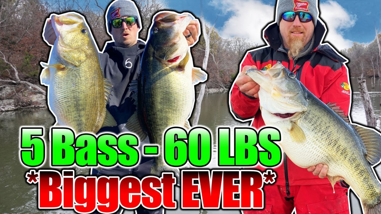 Biggest five bass limit ever caught on film