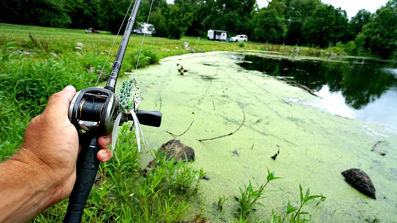 Bass fishing in inches of water after massive storm hits
