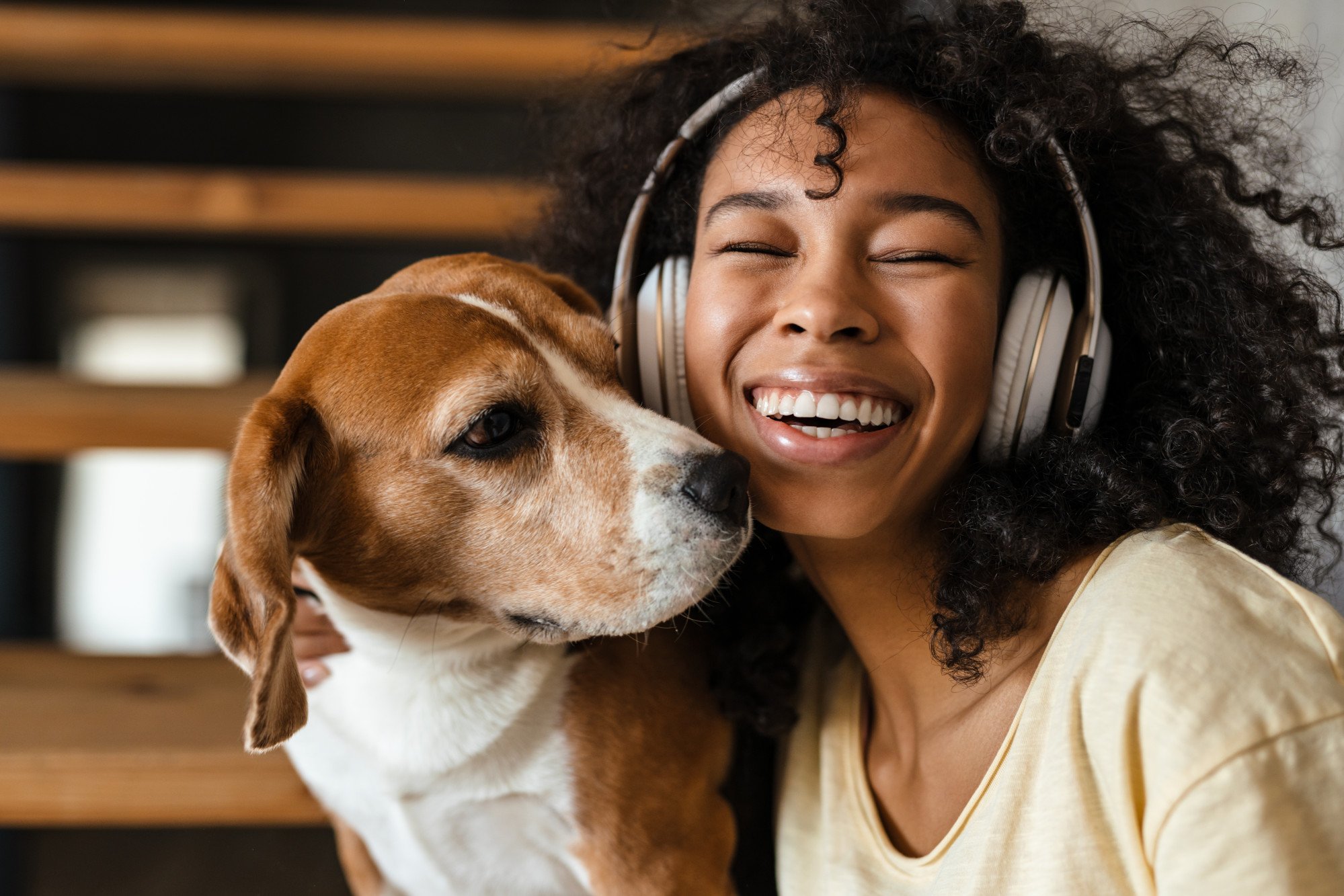 Do dogs like music? Experts weigh in on how songs affect our furry friends