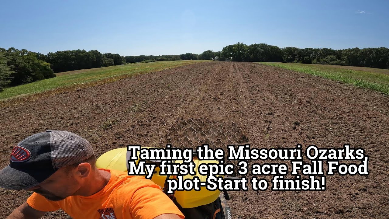 Revisiting an epic fall food plot on a Missouri Ozarks farm