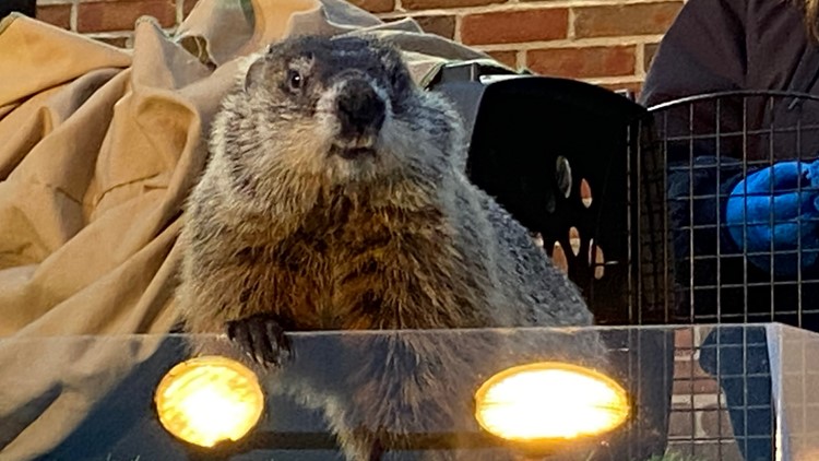 Groundhog Day 2026: Did Ohio's Buckeye Chuck see his shadow?