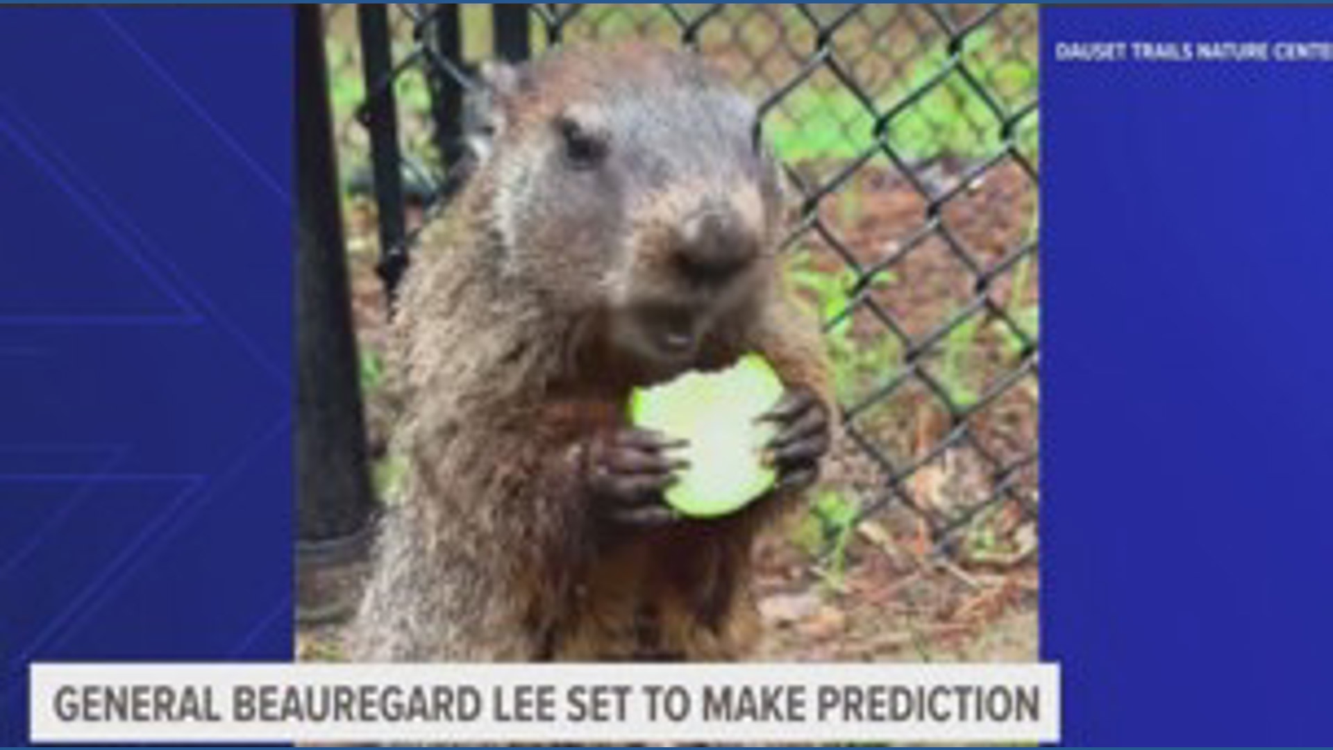 Groundhog Day! What about Georgia's groundhog?