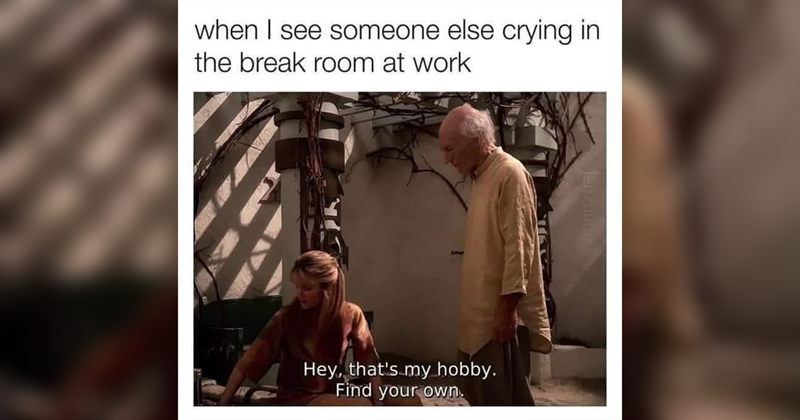 29 Memes That Demonstrate Memeing