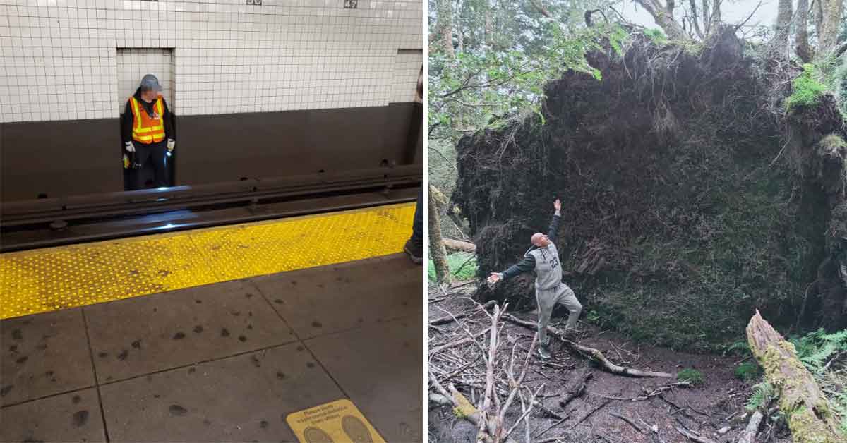 21 unique photos showing things that are rarely seen
