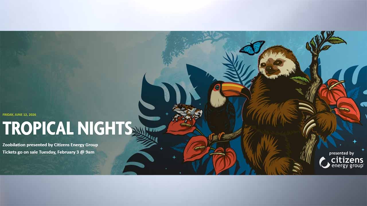 Zoobilation: Tropical nights tickets on sale Tuesday
