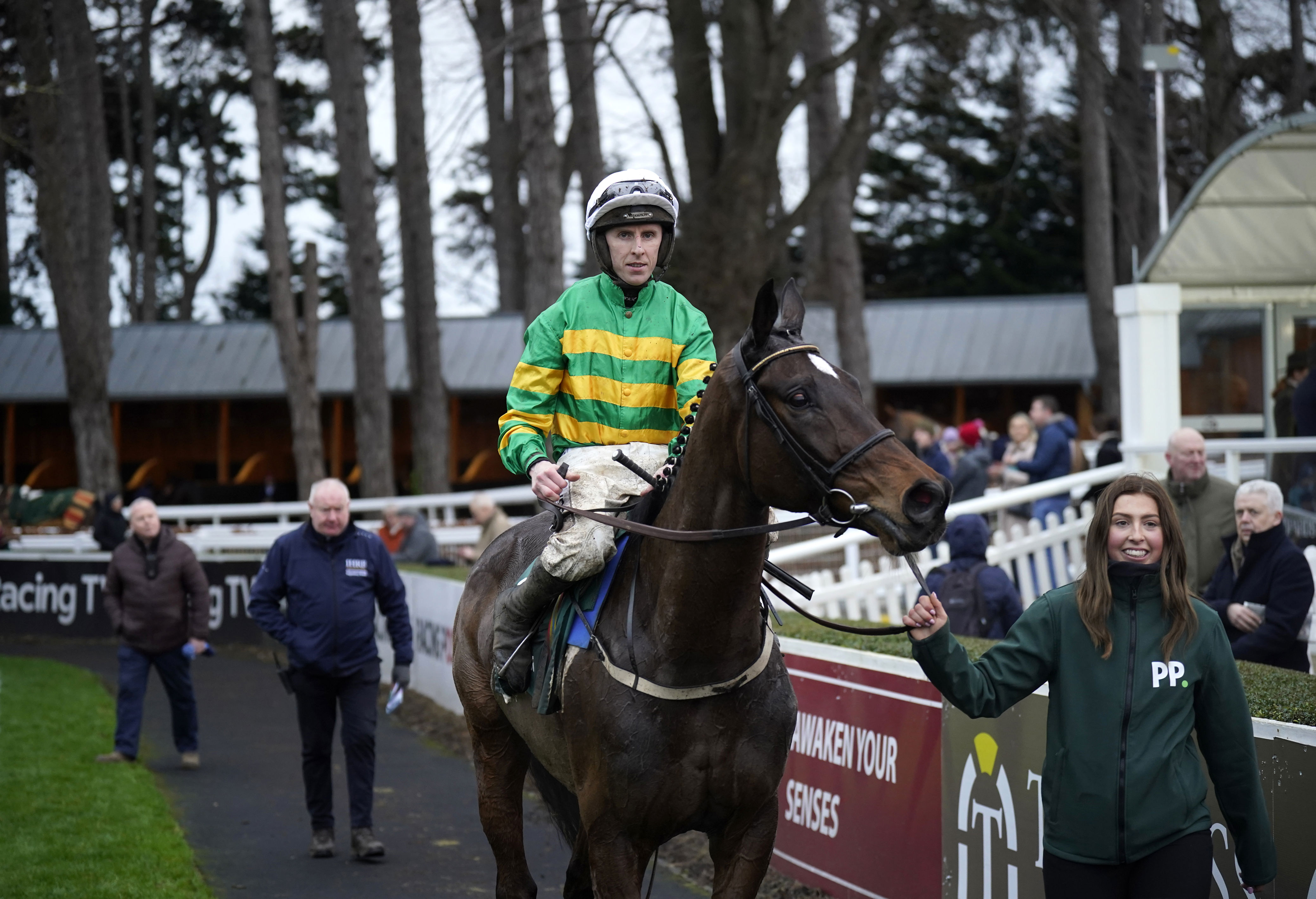 Fact To File roars back to his best with Irish Gold Cup victory