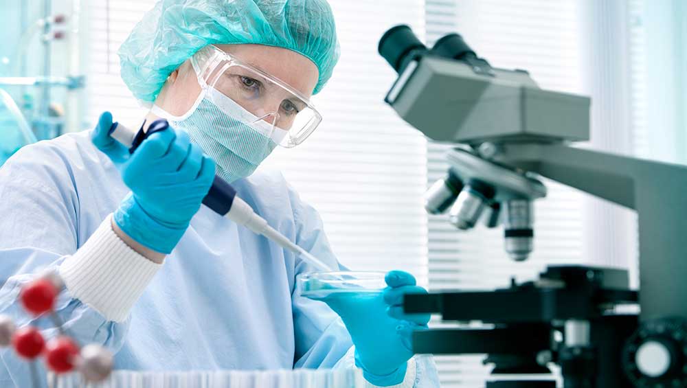 Stock market today: Dow gains as Disney dives, pharma play eyes entry ...