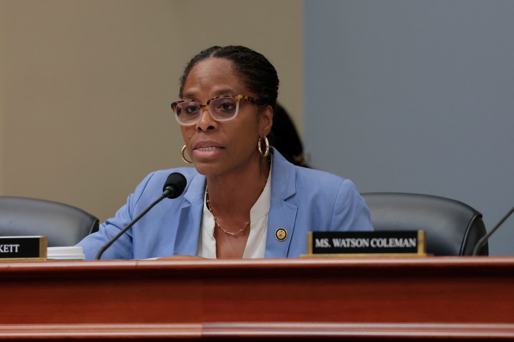 Dem USVI delegate Stacey Plaskett’s ties to Jeffrey Epstein detailed in ...