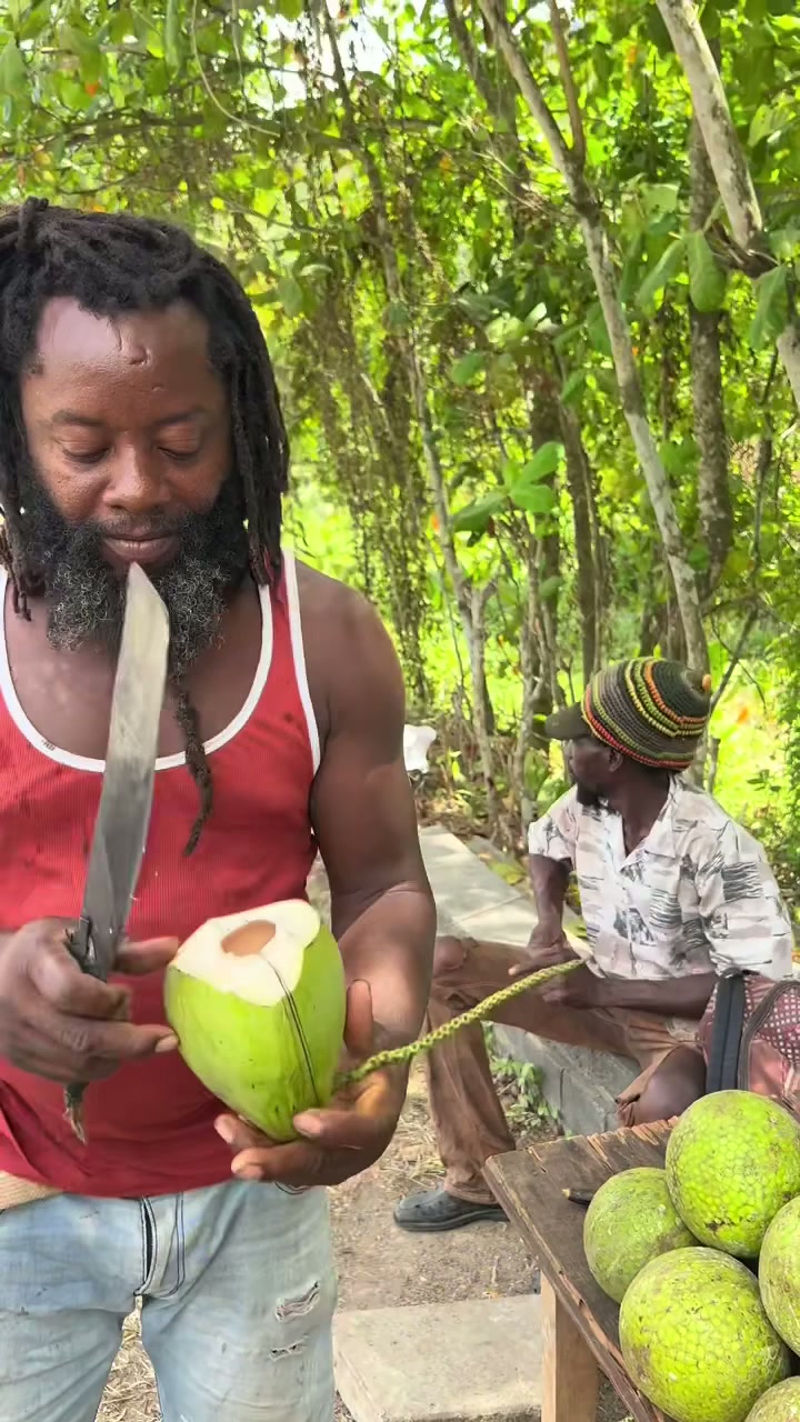 Coconut king in Jamaica 🇯🇲