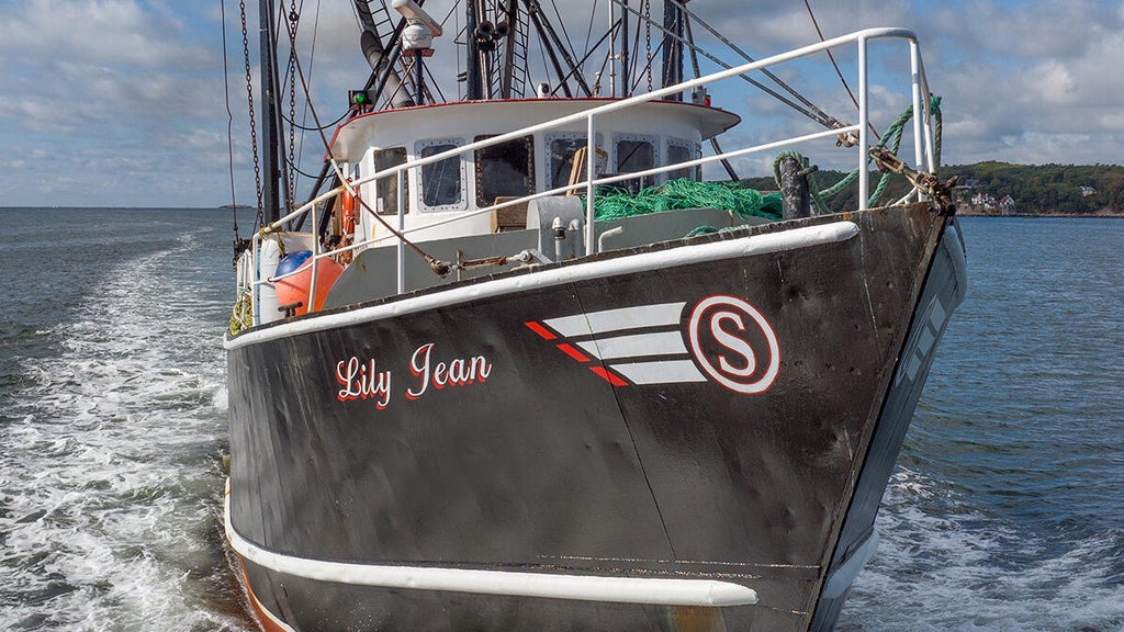 Investigators seek answers on sinking of Lily Jean off Gloucester ...