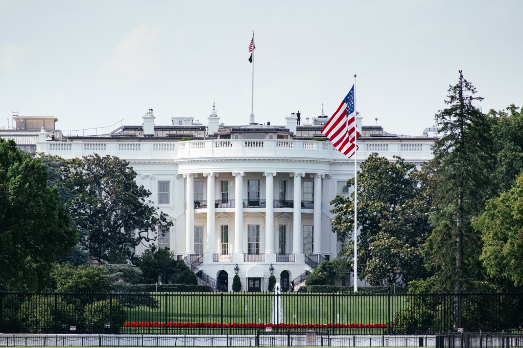 Democrats' 'Project 2029' plans spark criticism online