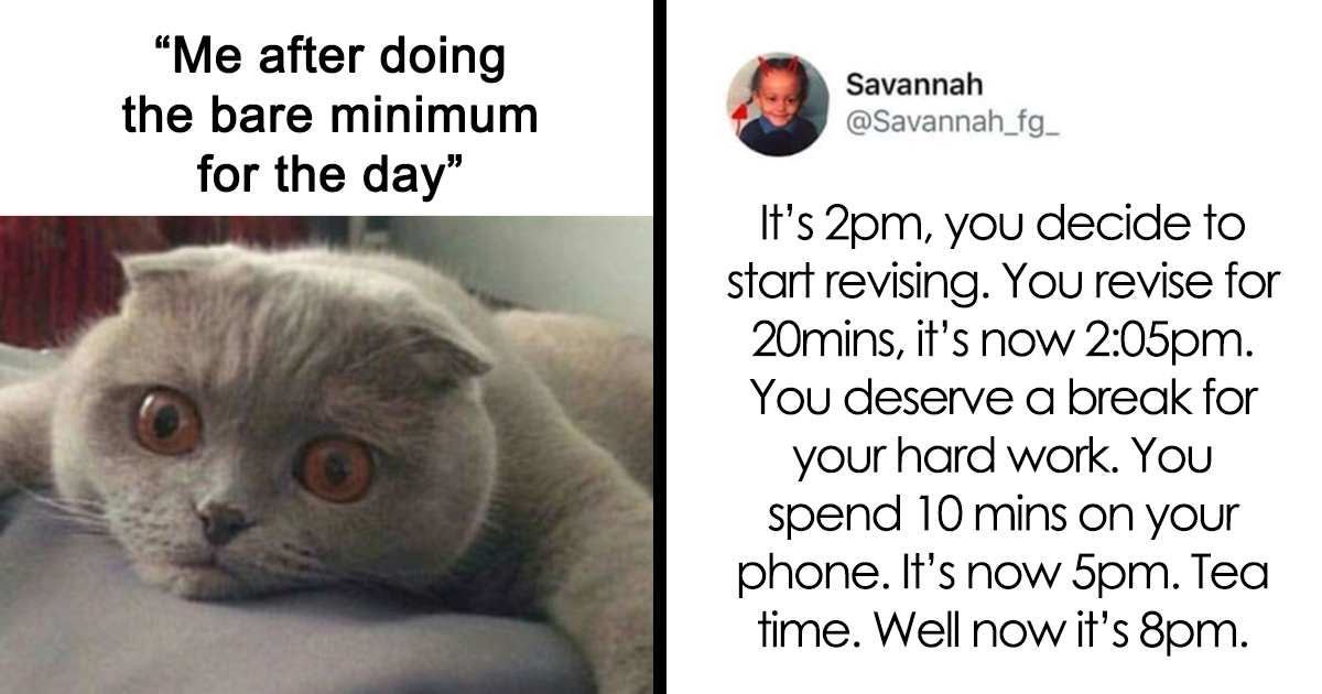25 student memes that might make you laugh and cry at the same time, as ...