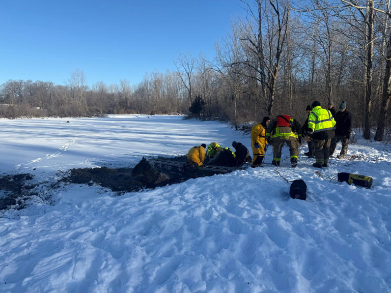 Four horses fall through a pond at West Michigan golf course. What we know